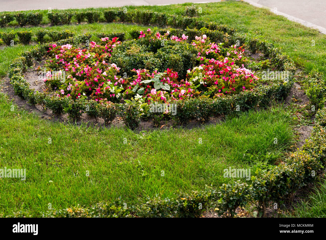 different flowers in the design Stock Photo - Alamy