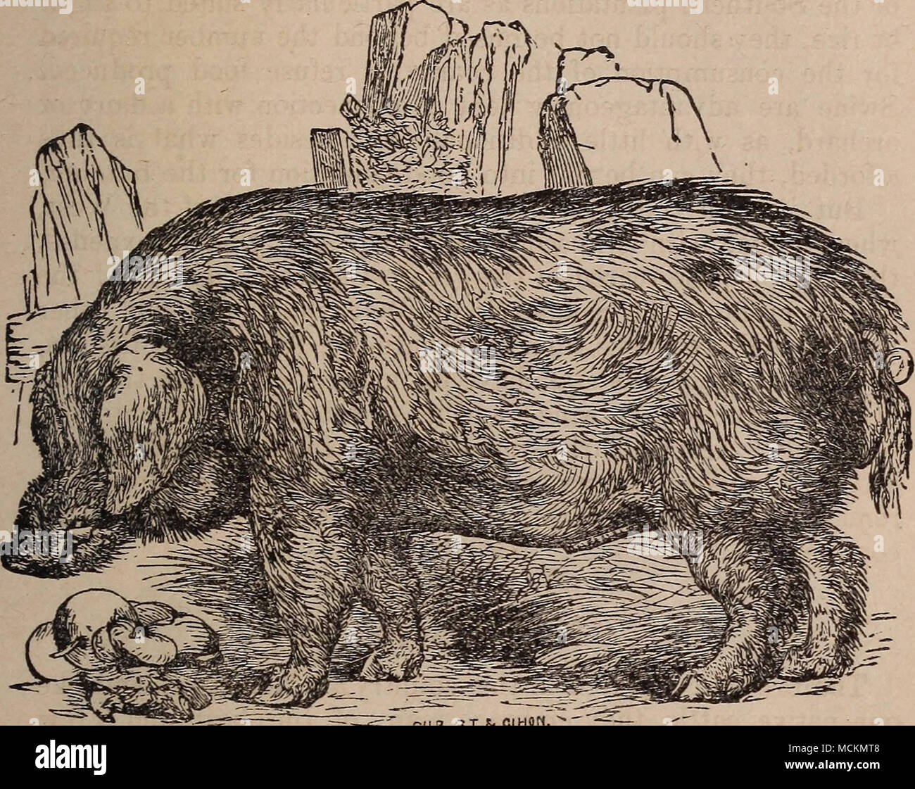 30 old broad st hi-res stock photography and images - Alamy