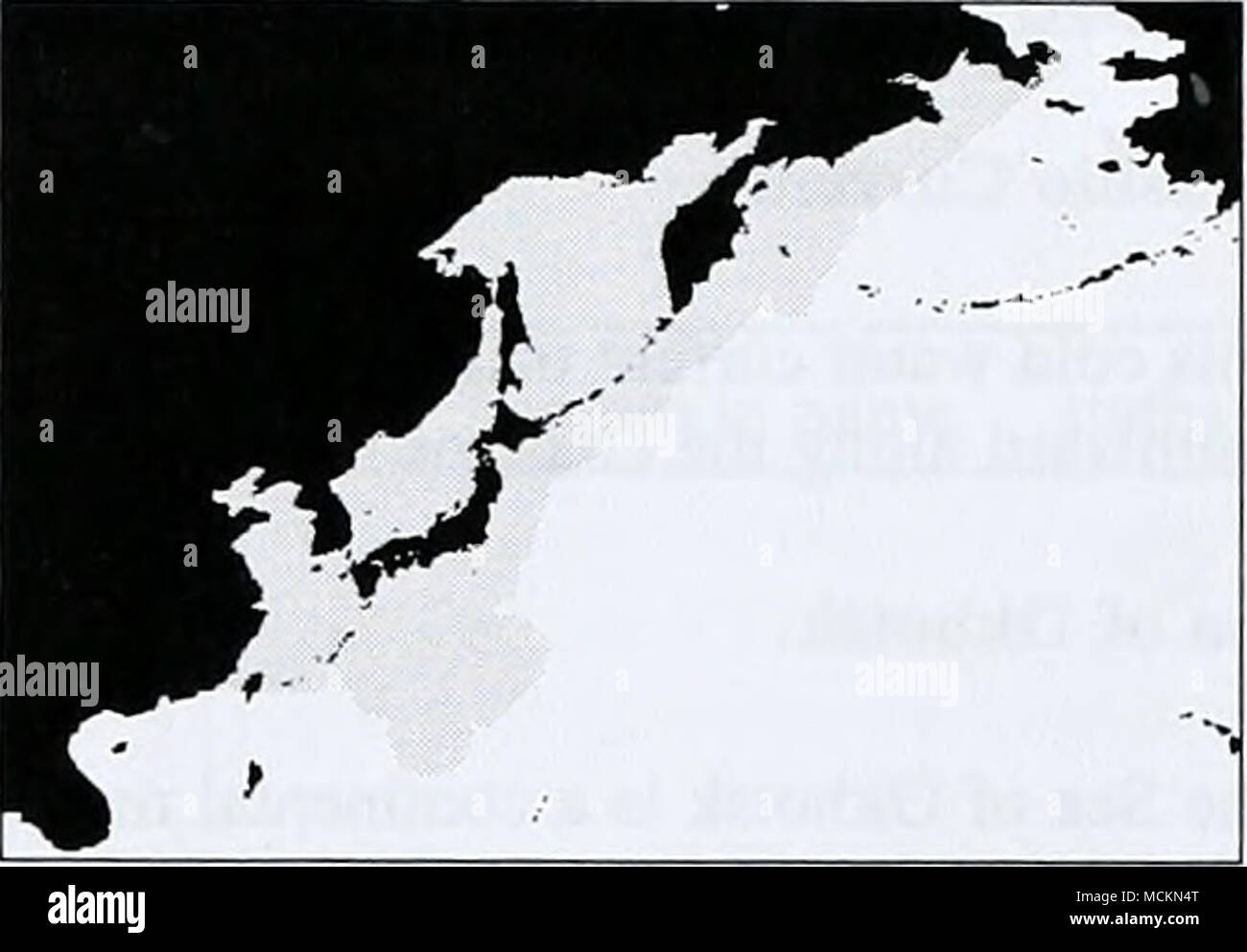 Kuroshio hi-res stock photography and images - Alamy