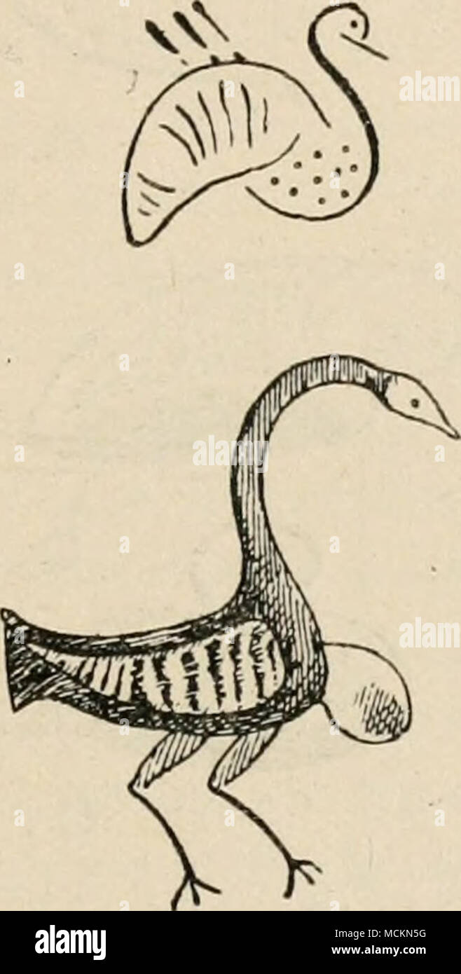 . Fig. 17.—Two draw- ings on pottery of modified geese, from Perrot's ...
