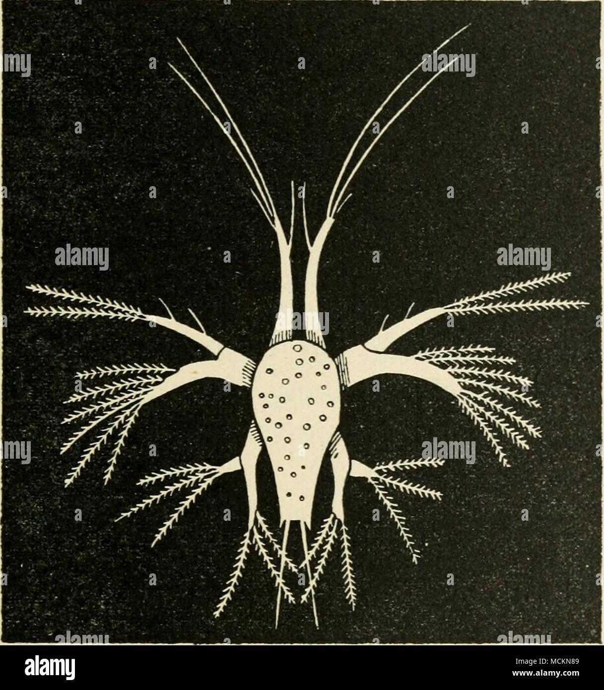 Raise from the dead hi-res stock photography and images - Alamy
