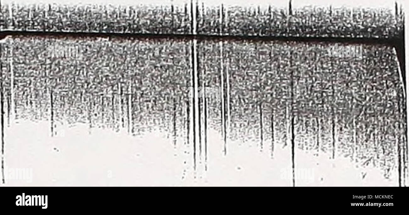 Vory hi-res stock photography and images - Alamy