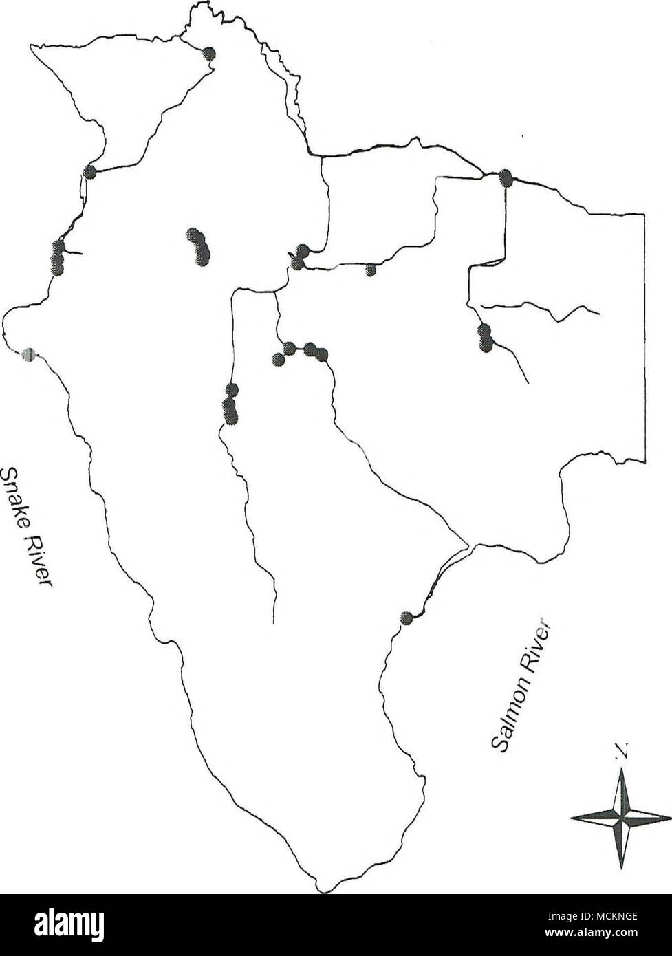 Western terrestrial garter snake hi-res stock photography and images ...