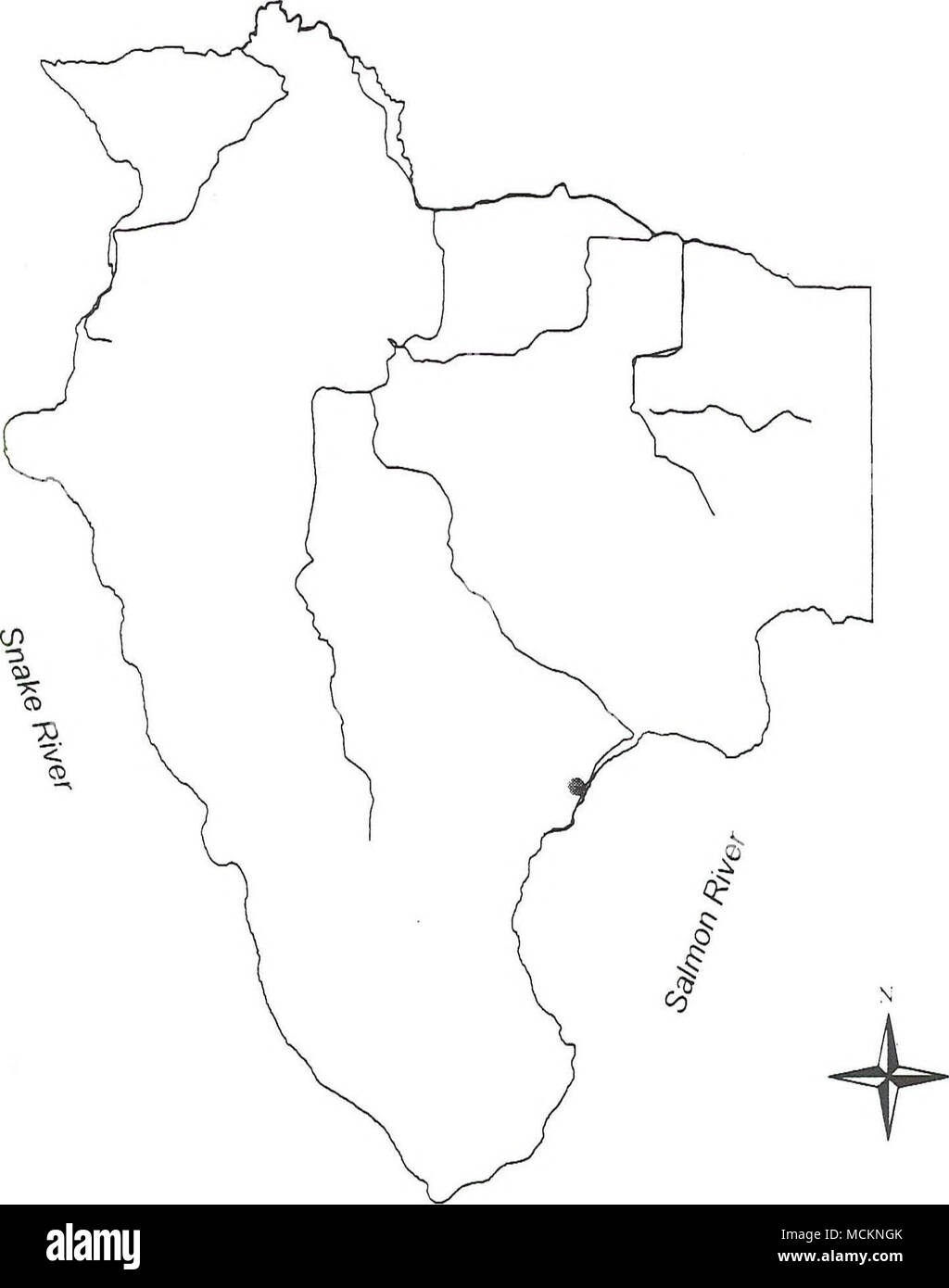 Ringneck snake hi-res stock photography and images - Alamy