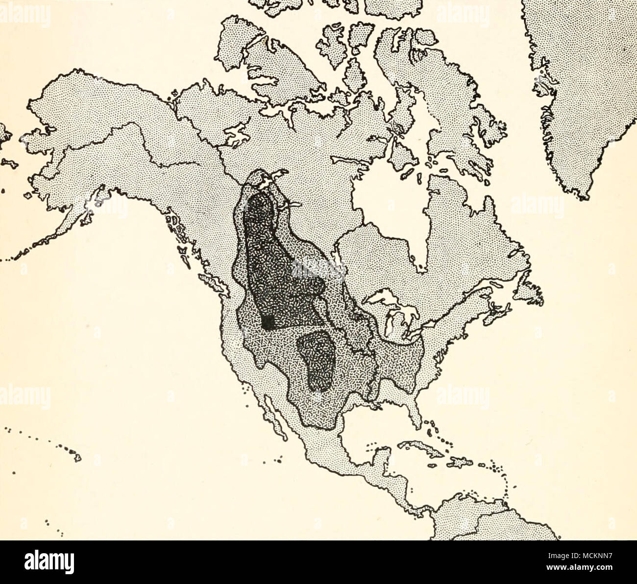 . Fio. 5.—Map of North America, showing the original distribution of ...