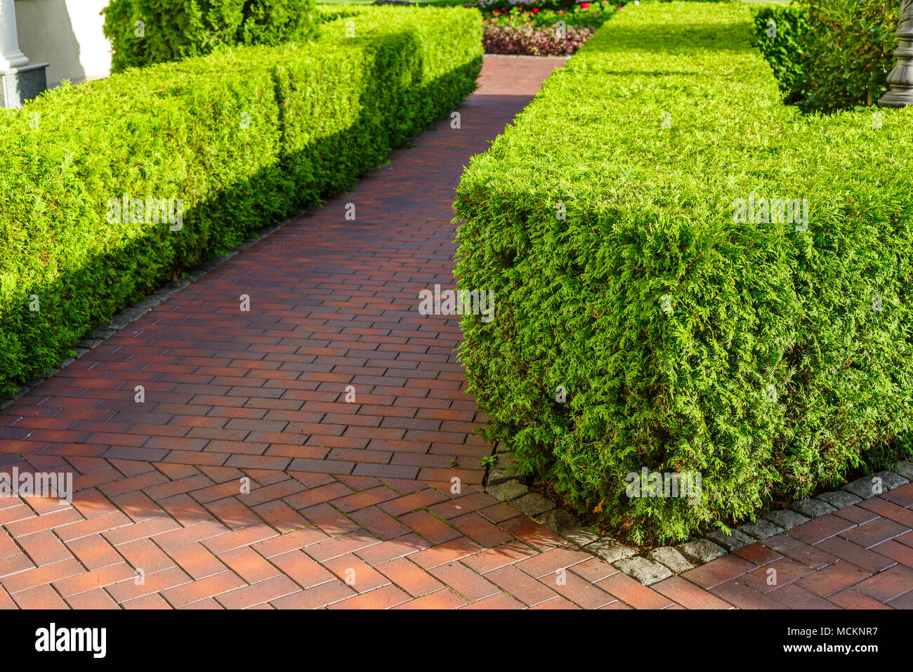 decorated stone paths in landscape design Stock Photo - Alamy