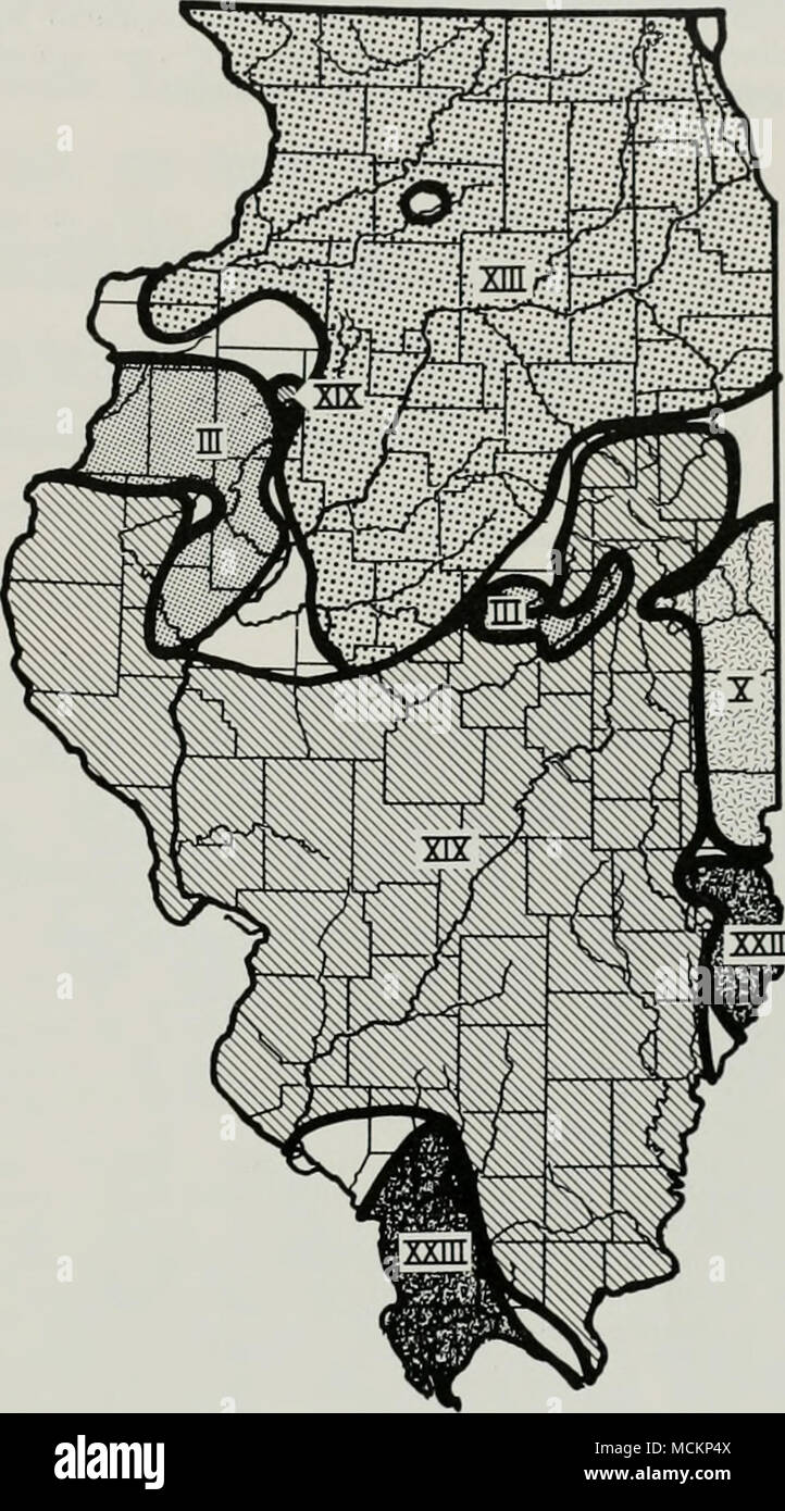 . Txm ^ Fig. 5. — Distribution of periodical cicadas in Illinois. The ...