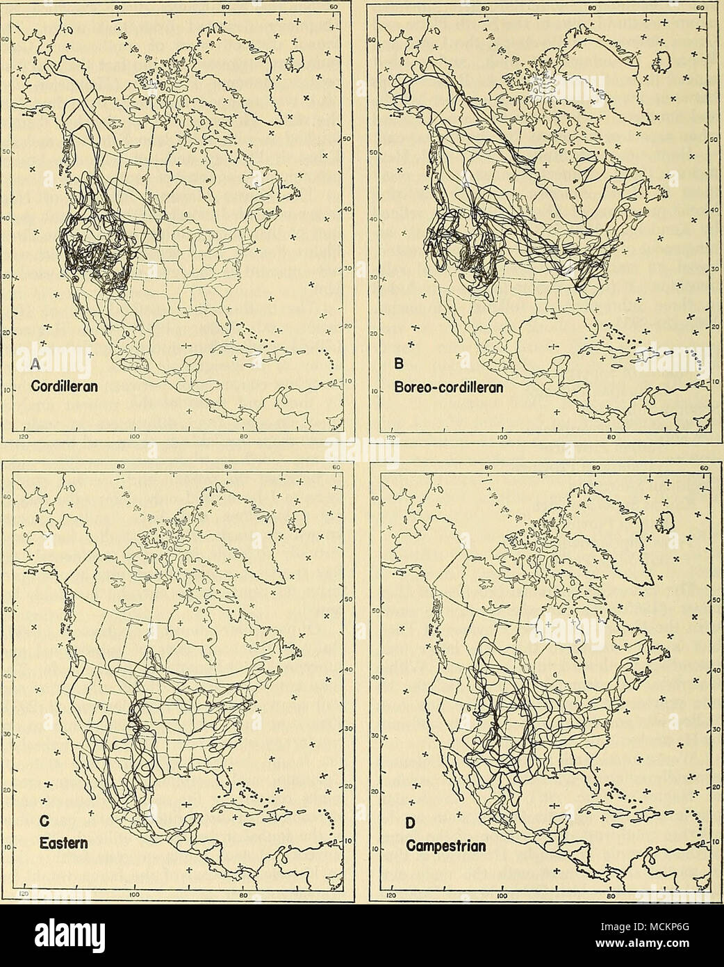 . Fig. 127. Superimposed continental ranges of: A, 13 Cordilleran ...