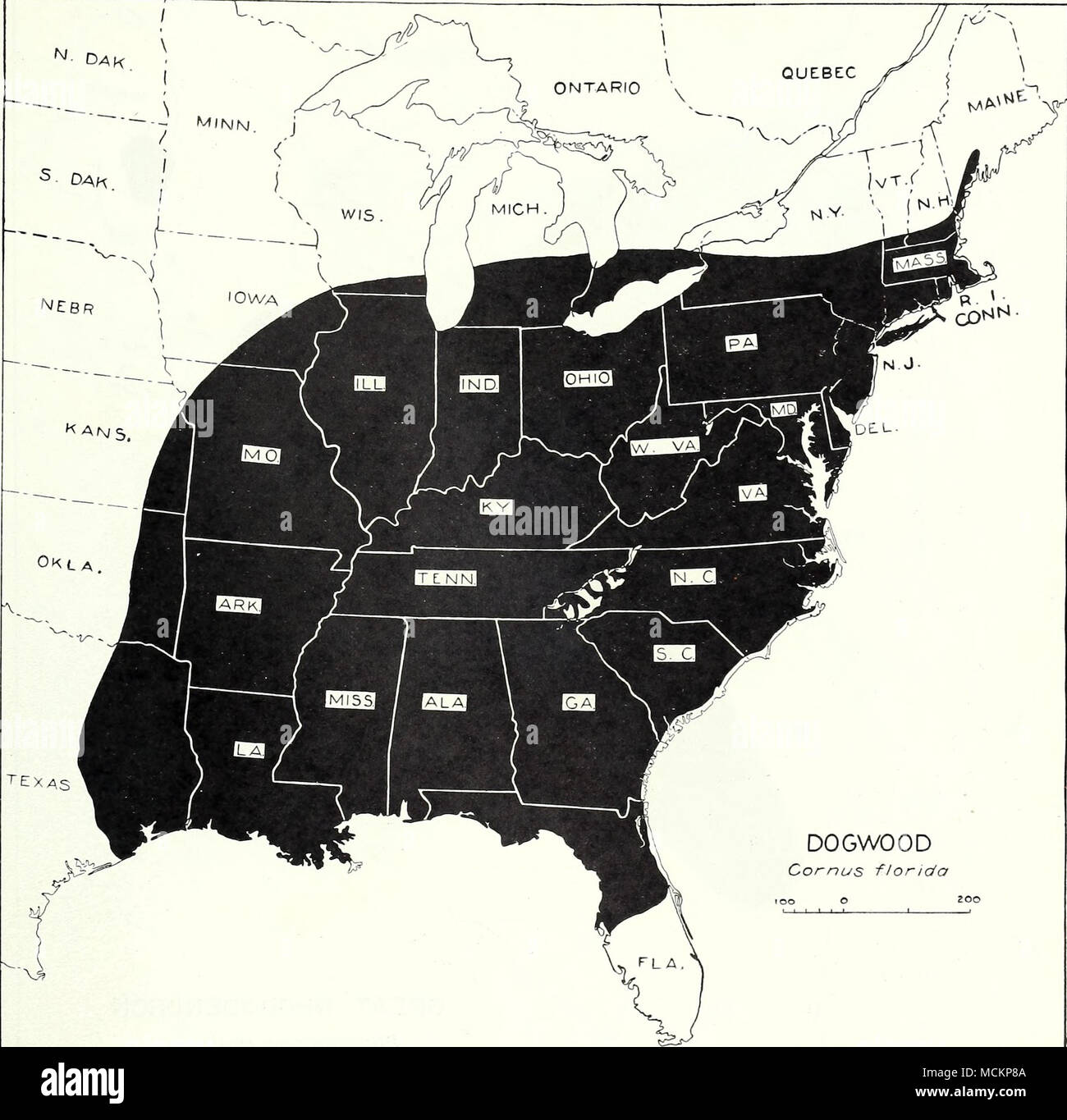 . DOGWOOD Cornus florida CORNUS FLORIDA LINNAEUS Map 159 DOGWOOD Stock ...