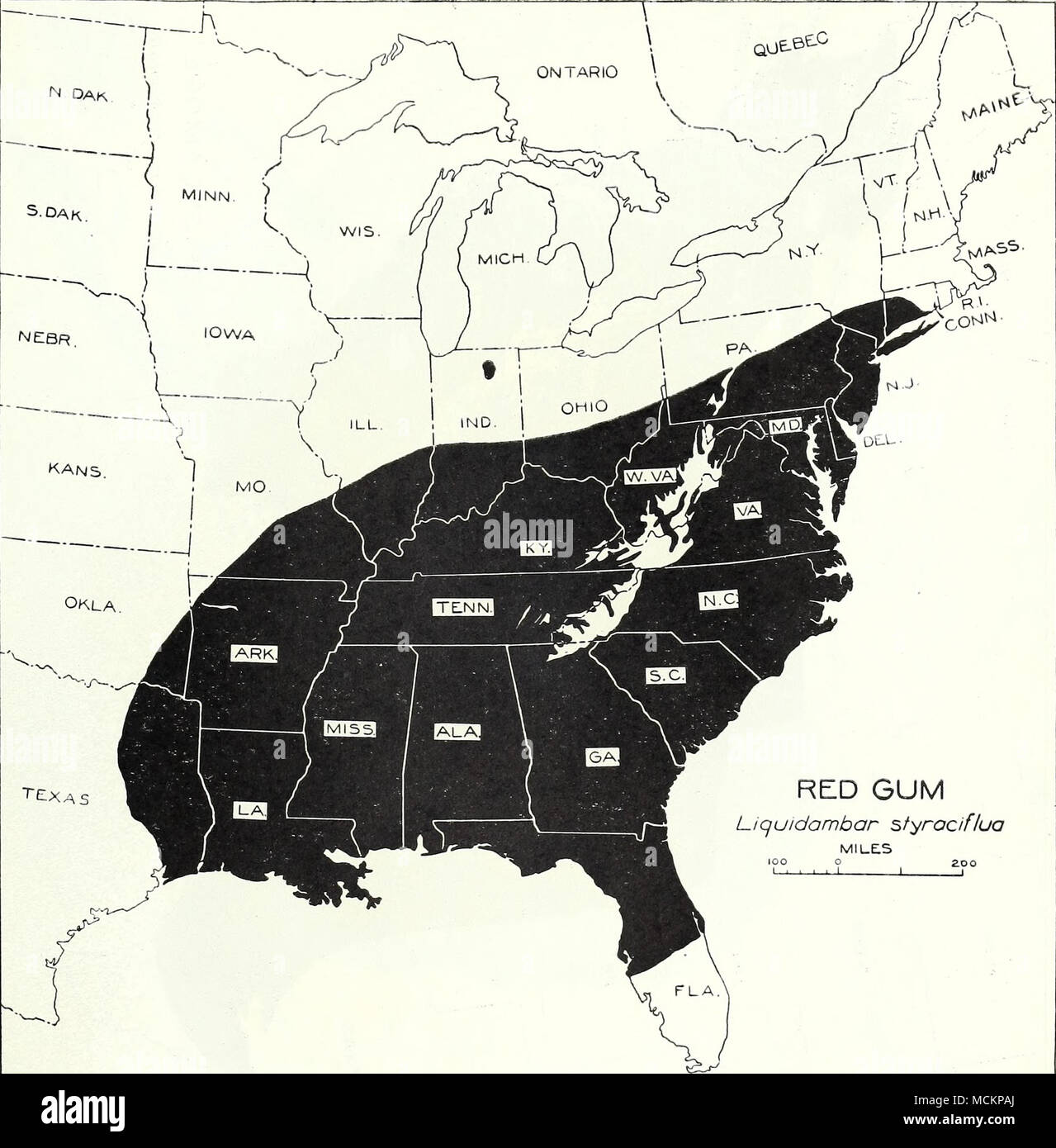. RED GUM Liquidambar styrociflua MILES Map 131 LIQUIDAMBAR STYRACIFLUA ...