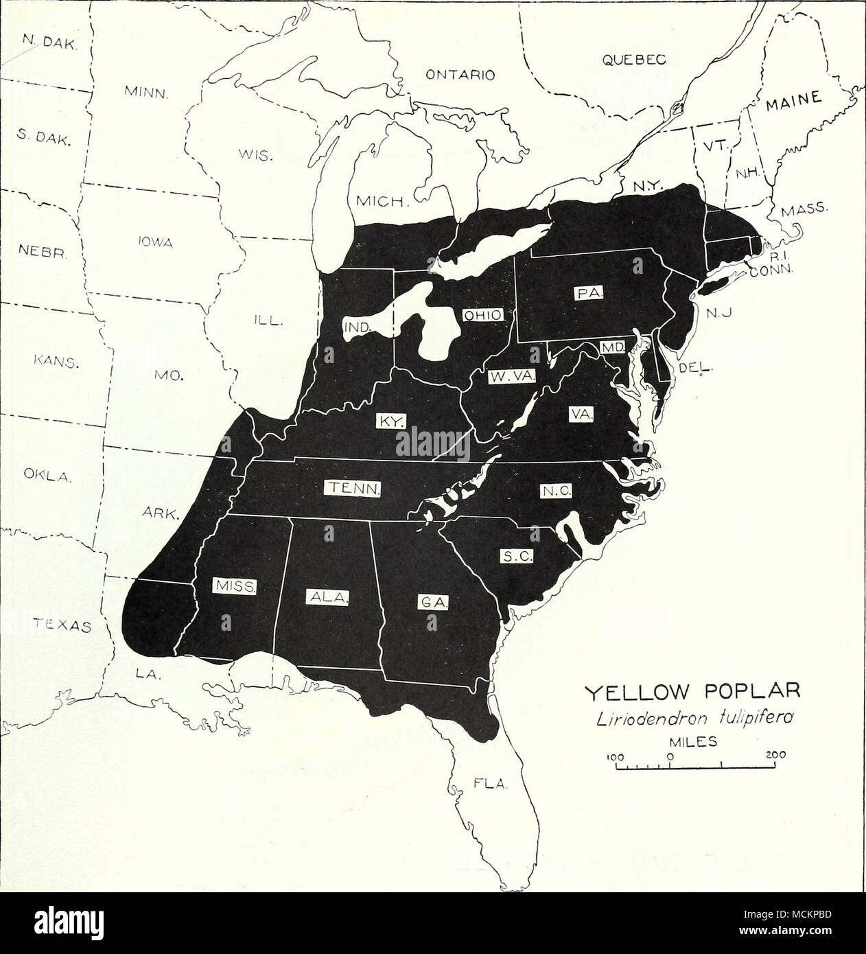 Map of poplar hi-res stock photography and images - Alamy