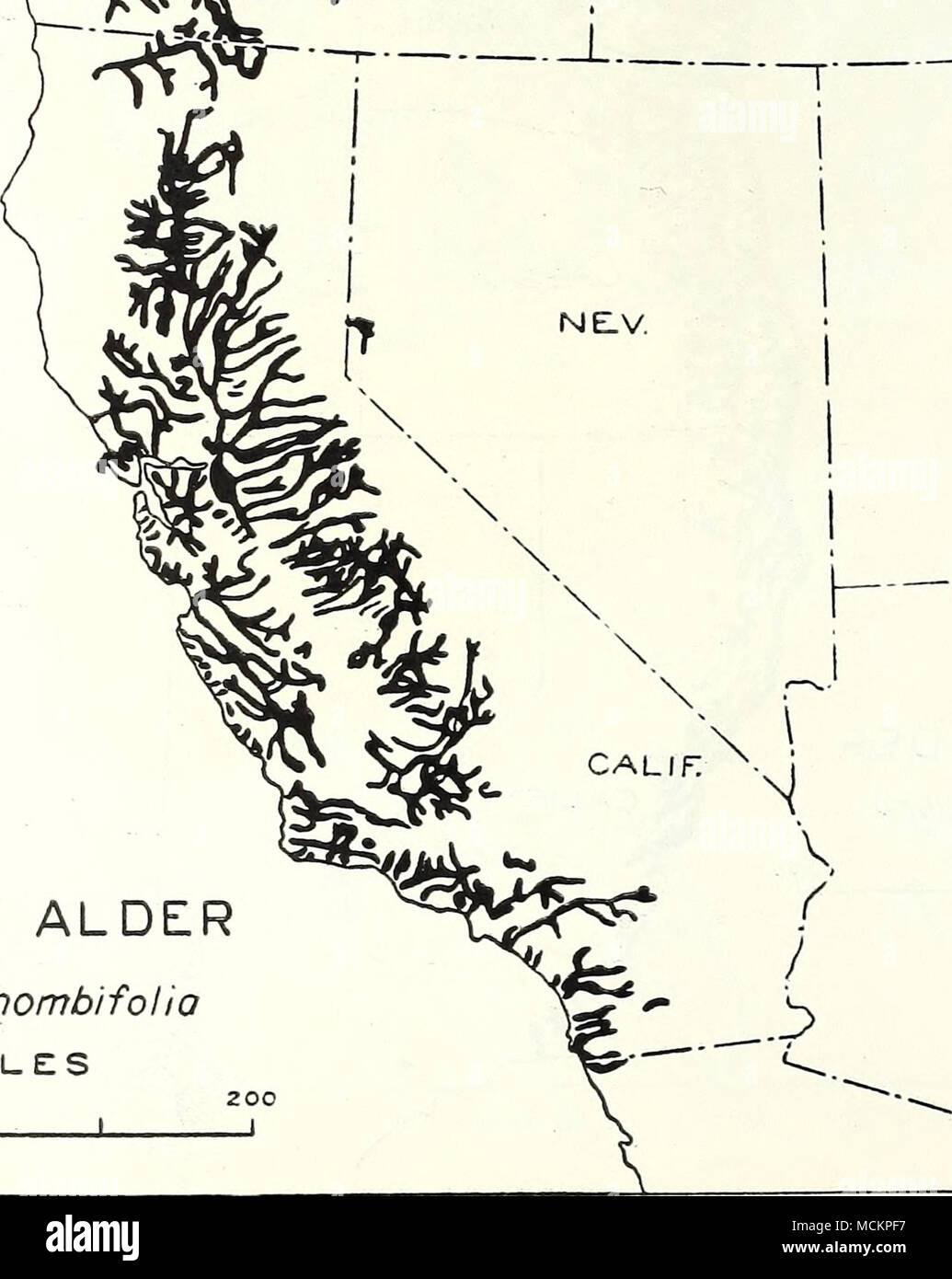 Alder map hi-res stock photography and images - Alamy