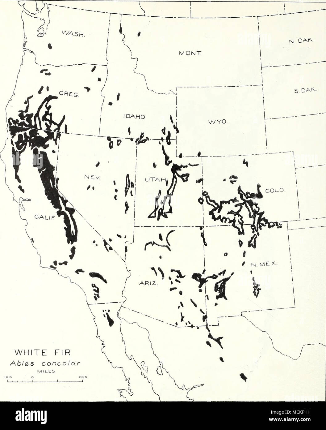 . WHITE FIR Abies conco/o r M ILE.5 100 o U-i > i i l ABIES CONCOLOR ...