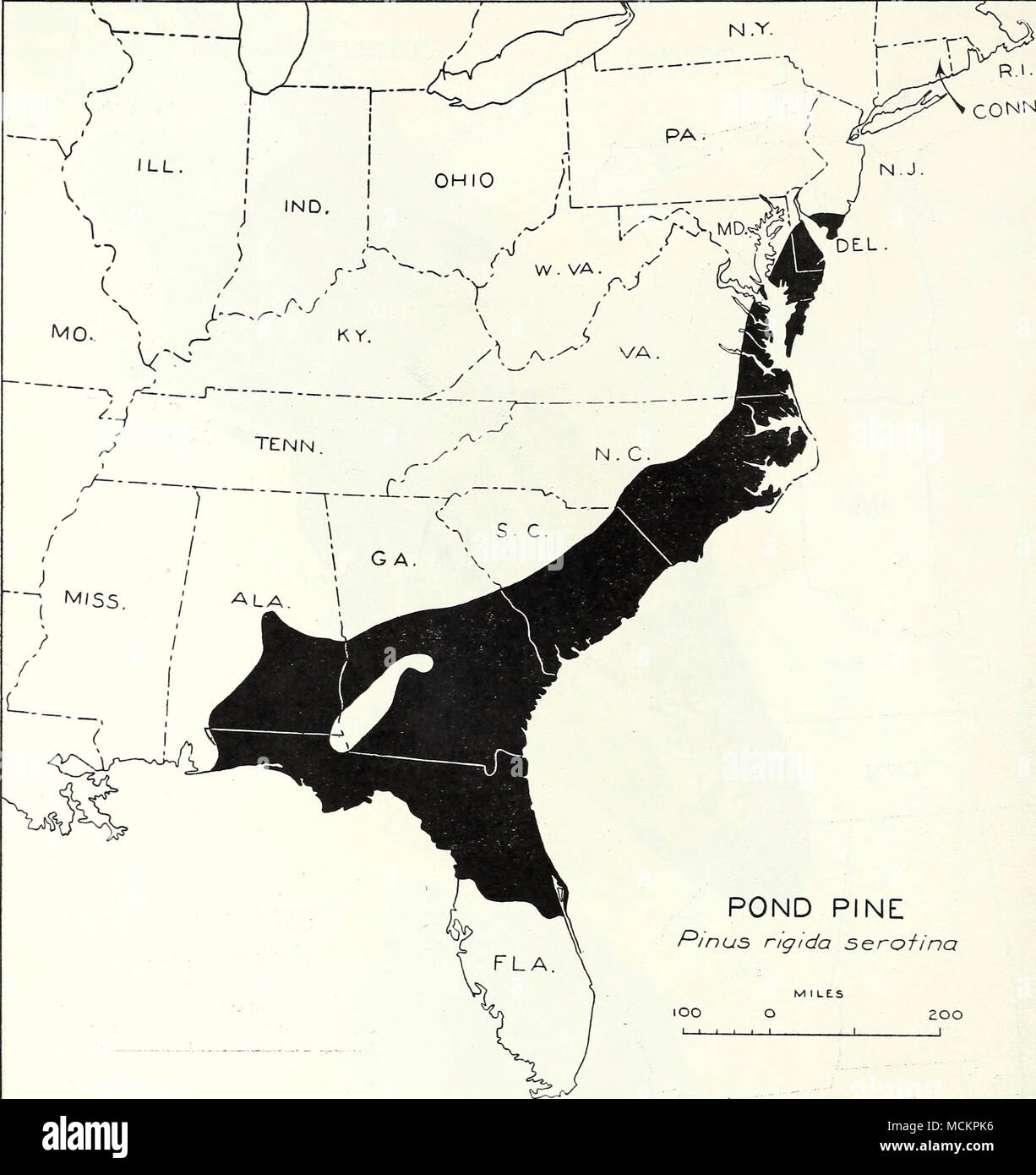 . POND PINE '/nus rig i da serofina M T LE.S lOO o zoo I—1—1—1—I I 1 I ...