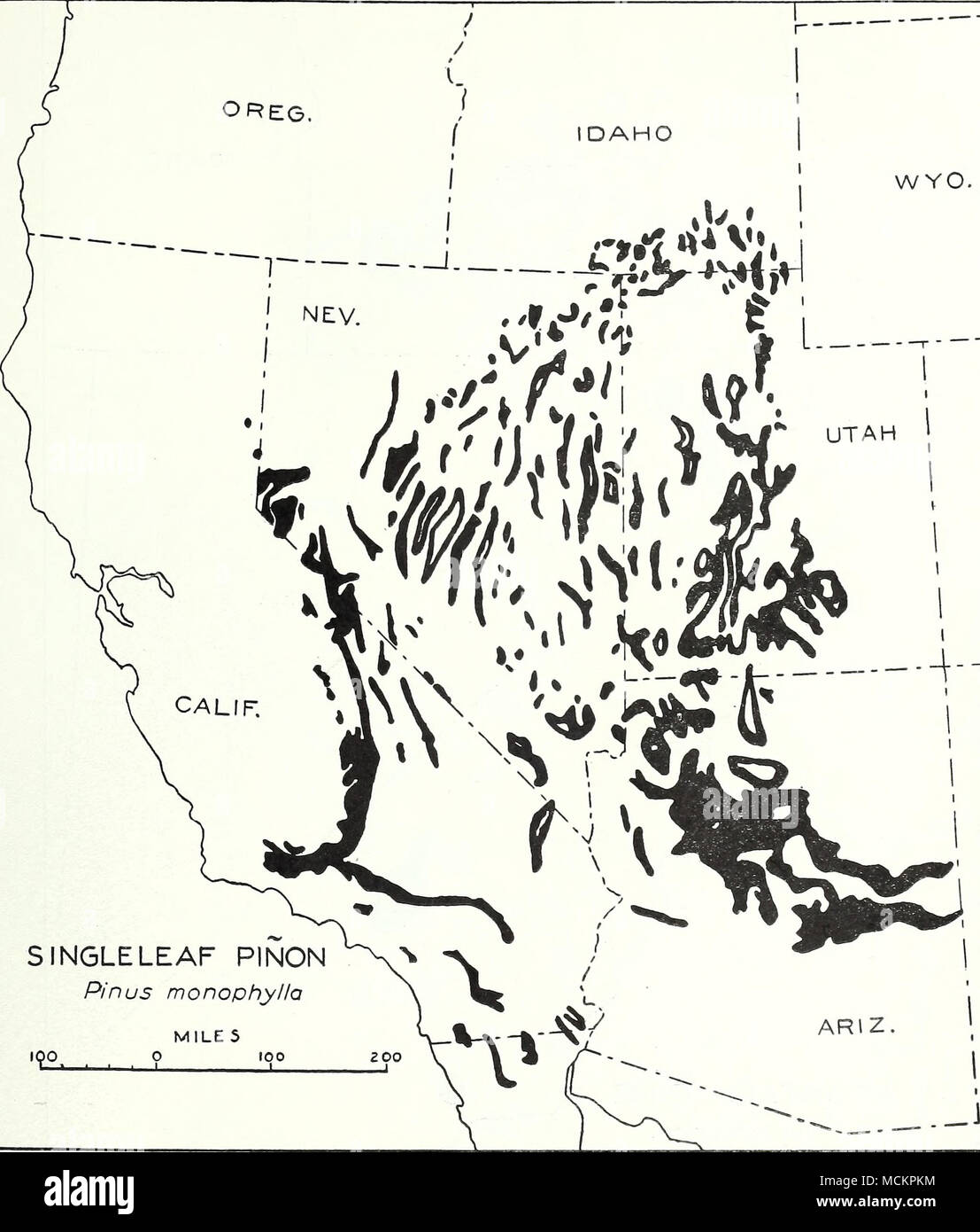 Pinon Map High Resolution Stock Photography and Images - Alamy