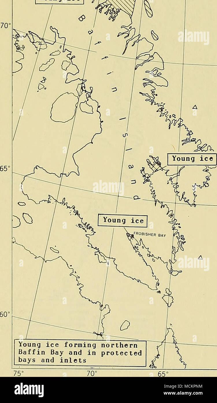 . Young ice forming northern ffin Bay and in protected bays and inlets ...