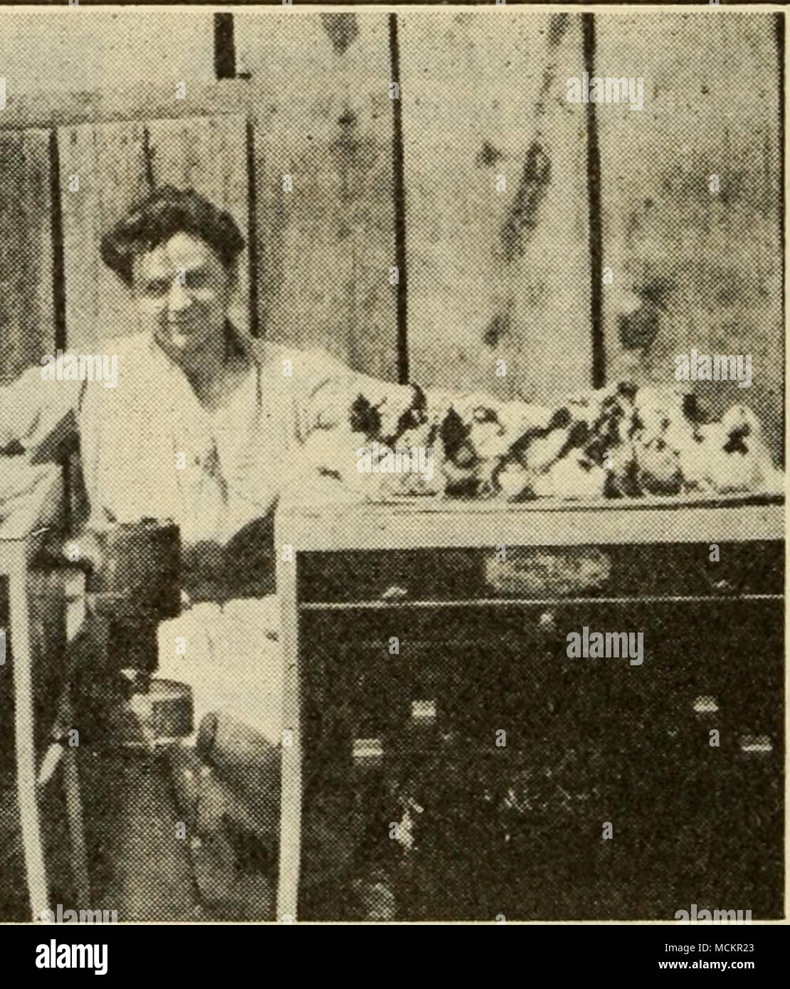 Lady rooks hi-res stock photography and images - Alamy