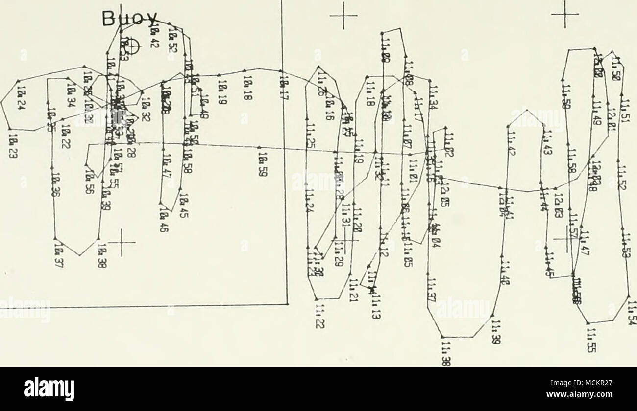 Figure 3-1. Actual ship's track during plume study. 3000 3500 + 4500 ...