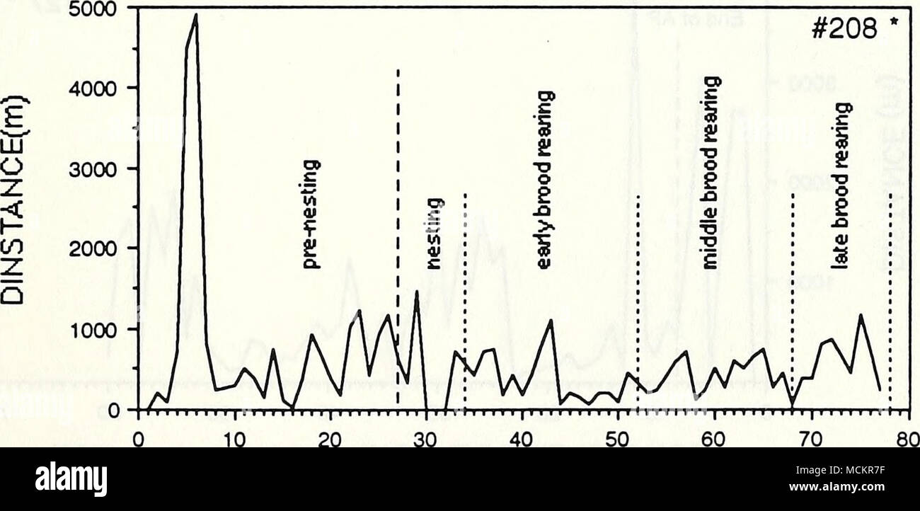 Relocation timeline hi-res stock photography and images - Alamy