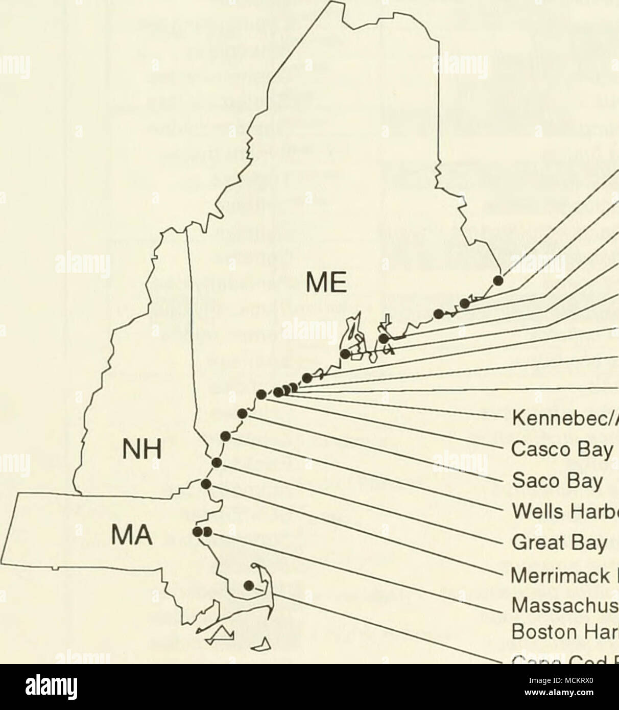 Sheepscot bay hi-res stock photography and images - Alamy