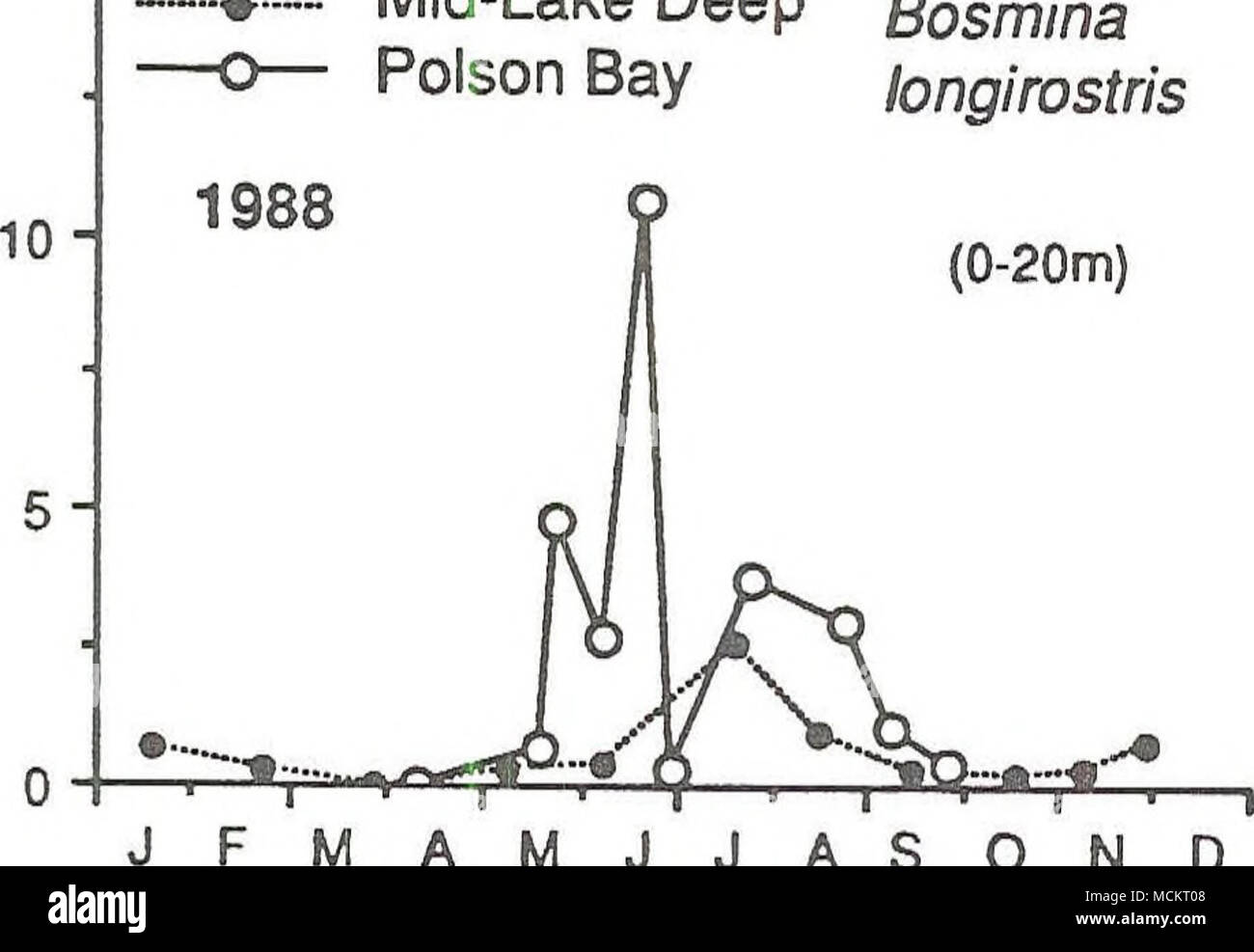 Calanoids hi-res stock photography and images - Alamy