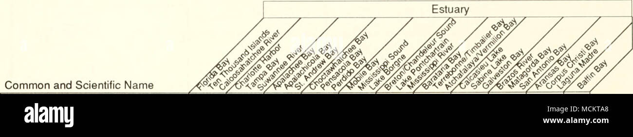 Common rangia hi-res stock photography and images - Alamy