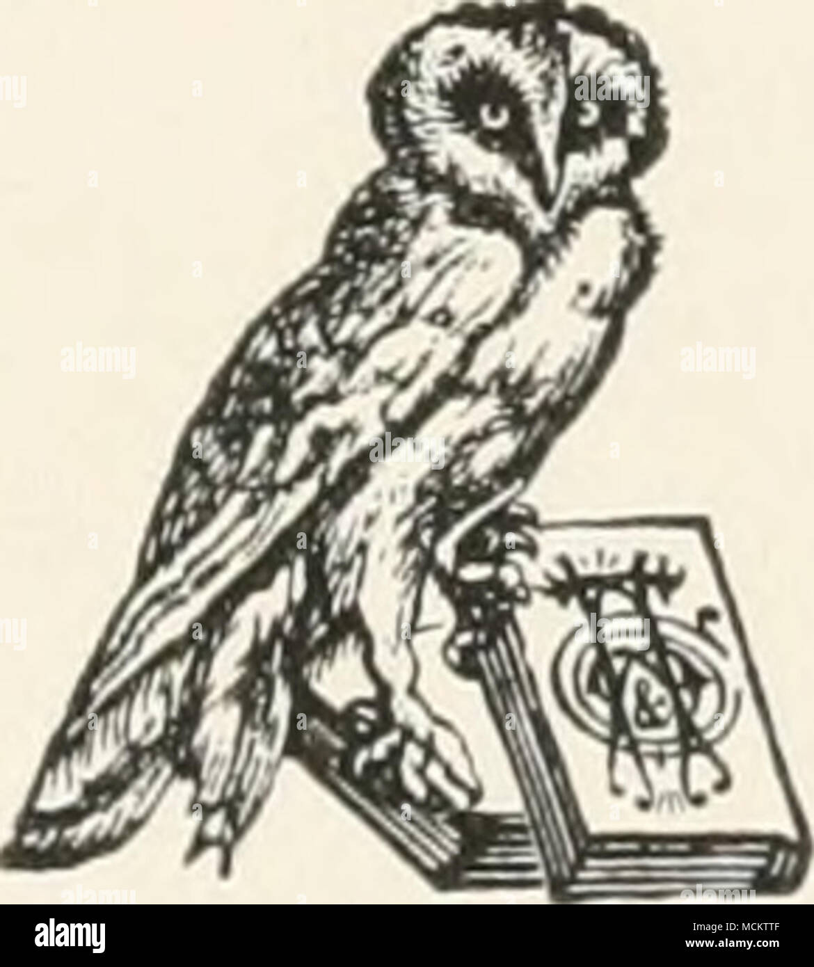 . NEW YORK HENRY HOLT AND COMPANY 1889 Stock Photo - Alamy