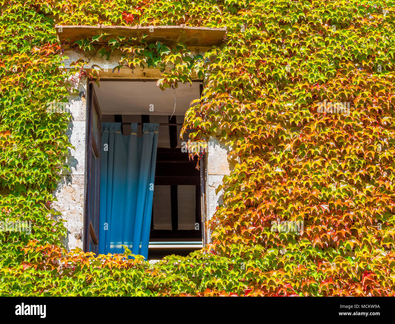 Town of Manciano in Tuscany, Italy Stock Photo - Alamy