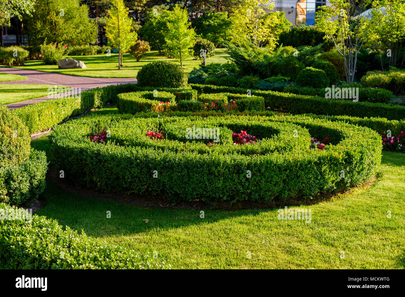 geometrically trimmed shrubs in landscape design Stock Photo - Alamy