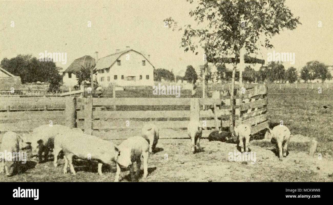 Rickets Disease High Resolution Stock Photography and Images - Alamy