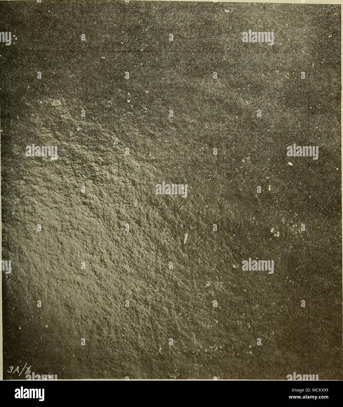 . FIG. li.l STEREO PHOTOGRAPH FOR DATA SET No 2 { LEAD PLANE.) 149 ...