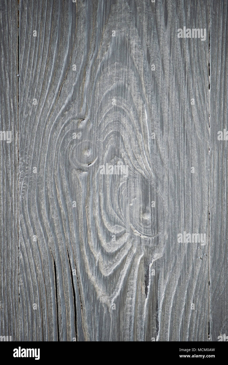 Wood texture. Gray timber board with weathered crack lines. Natural ...