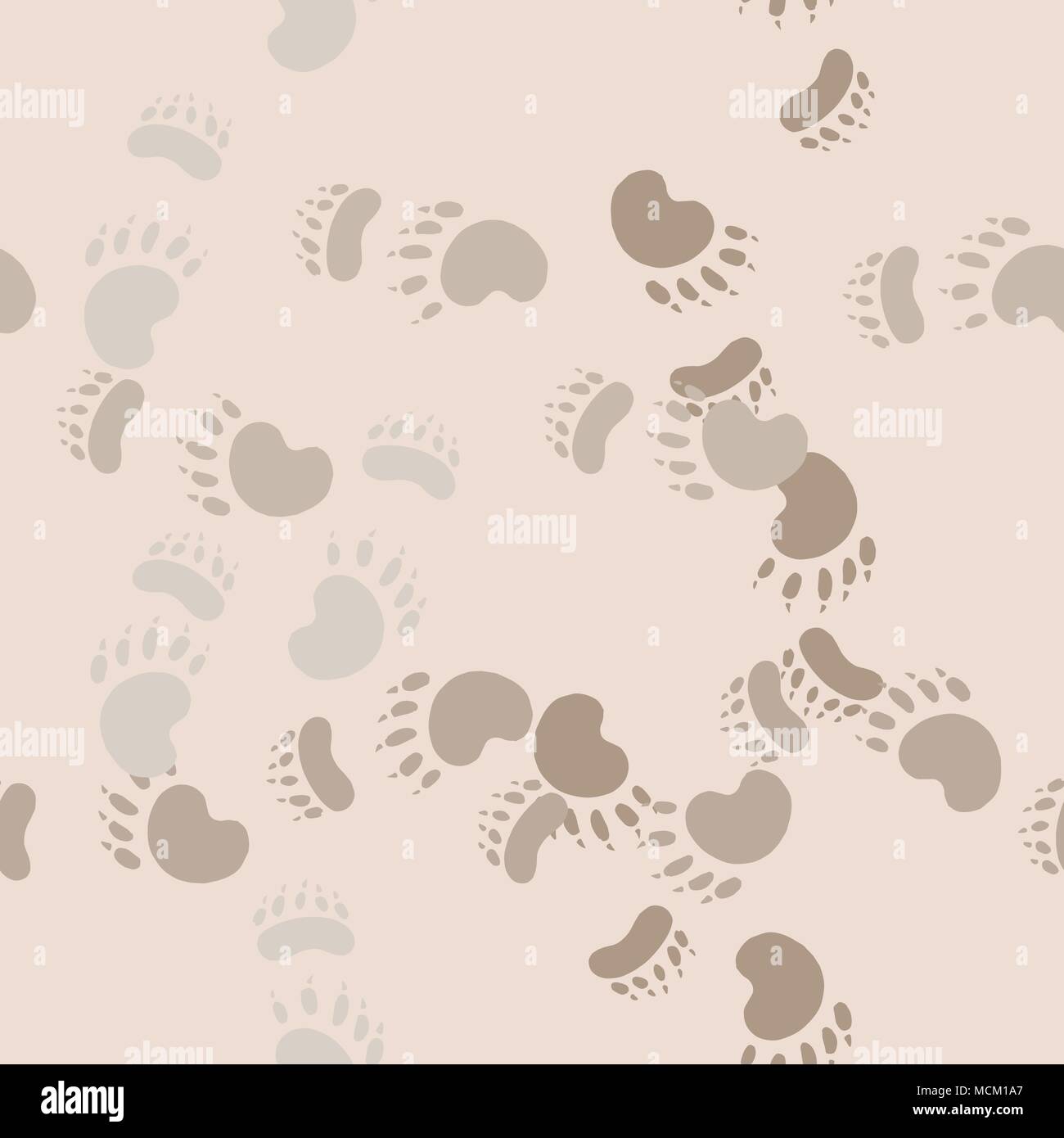 Animal sequence bear hi-res stock photography and images - Alamy