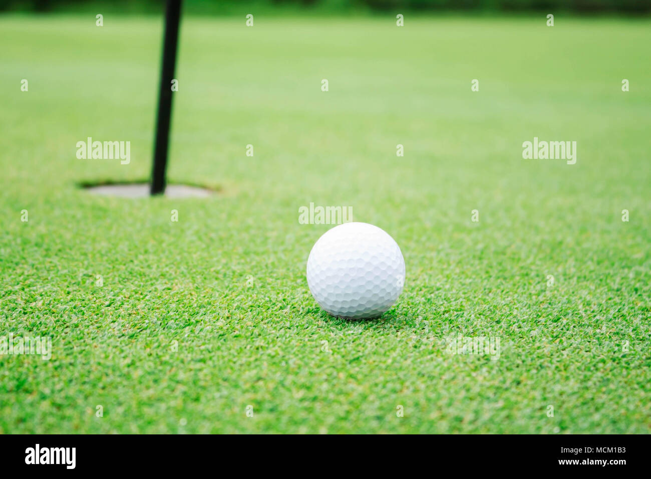 Golf balls in tree hi-res stock photography and images - Alamy