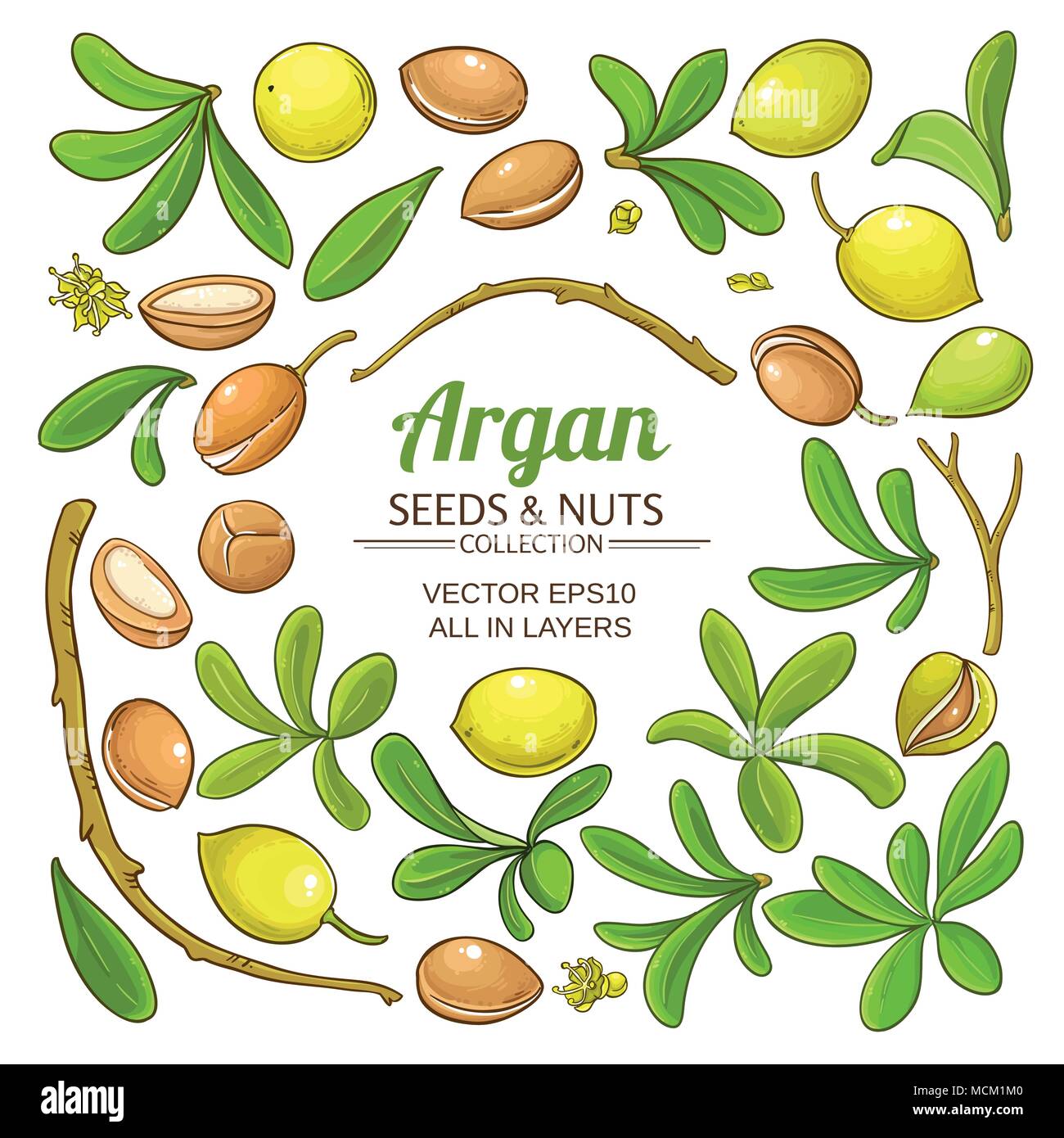 argan elements vector set on white background Stock Vector Image & Art ...