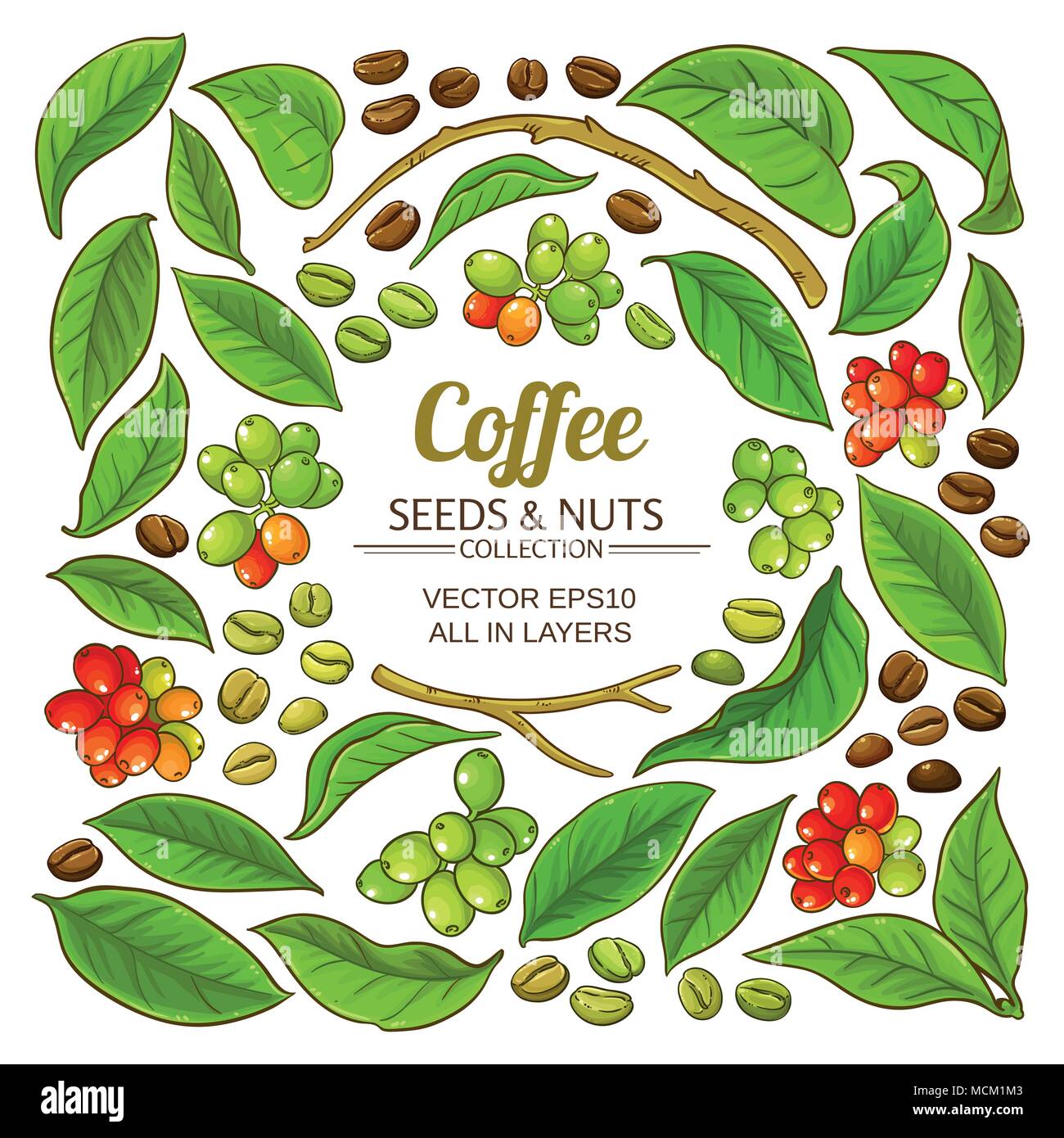 coffee elements vector set on white background Stock Vector Image & Art ...