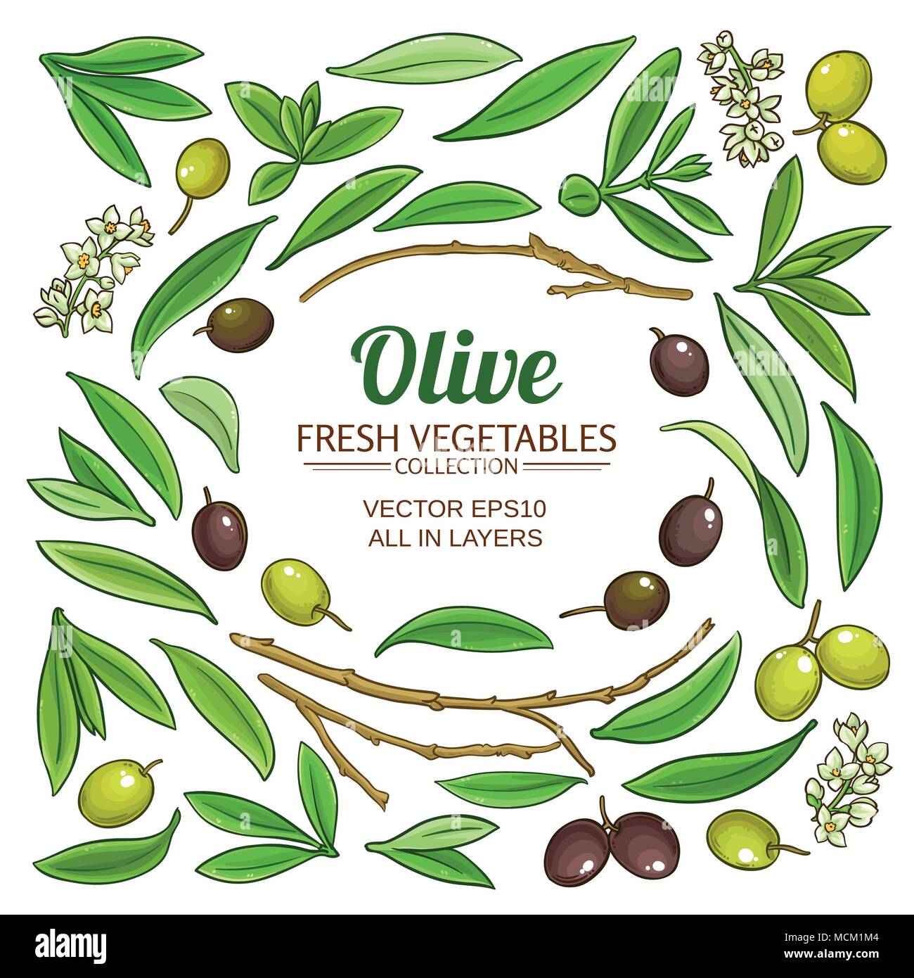 olive elements vector set on white background Stock Vector Image & Art ...
