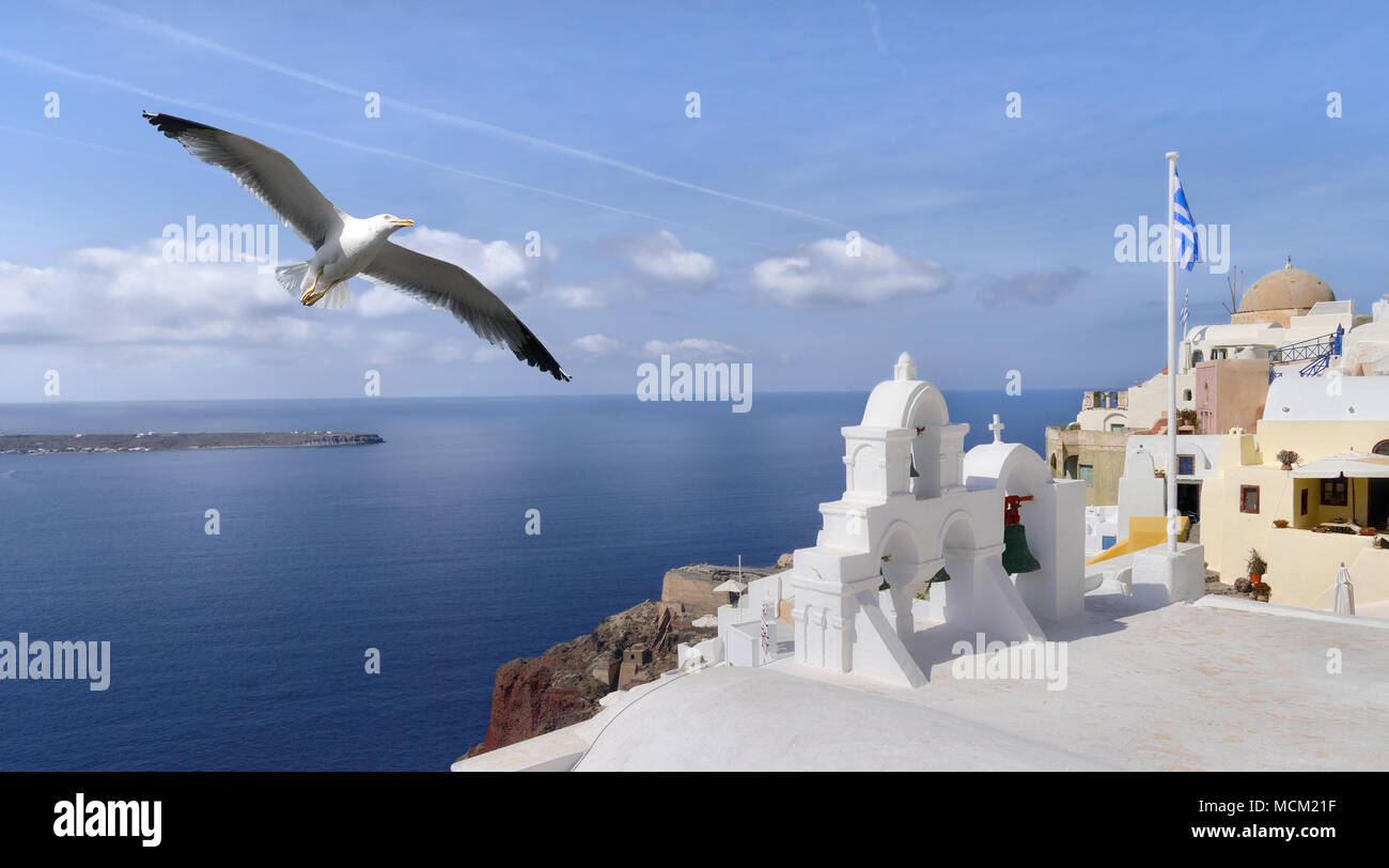Gulls flying over Greek islands Stock Photo - Alamy