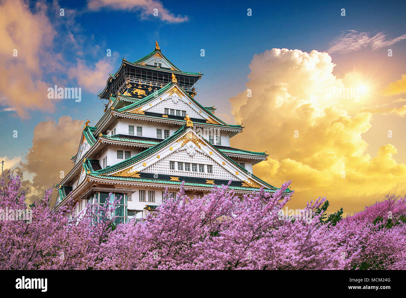 Osaka castle hi-res stock photography and images - Alamy