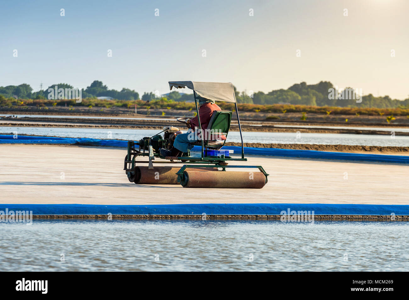 Salt farm with salt roller car in salt field Stock Photo - Alamy