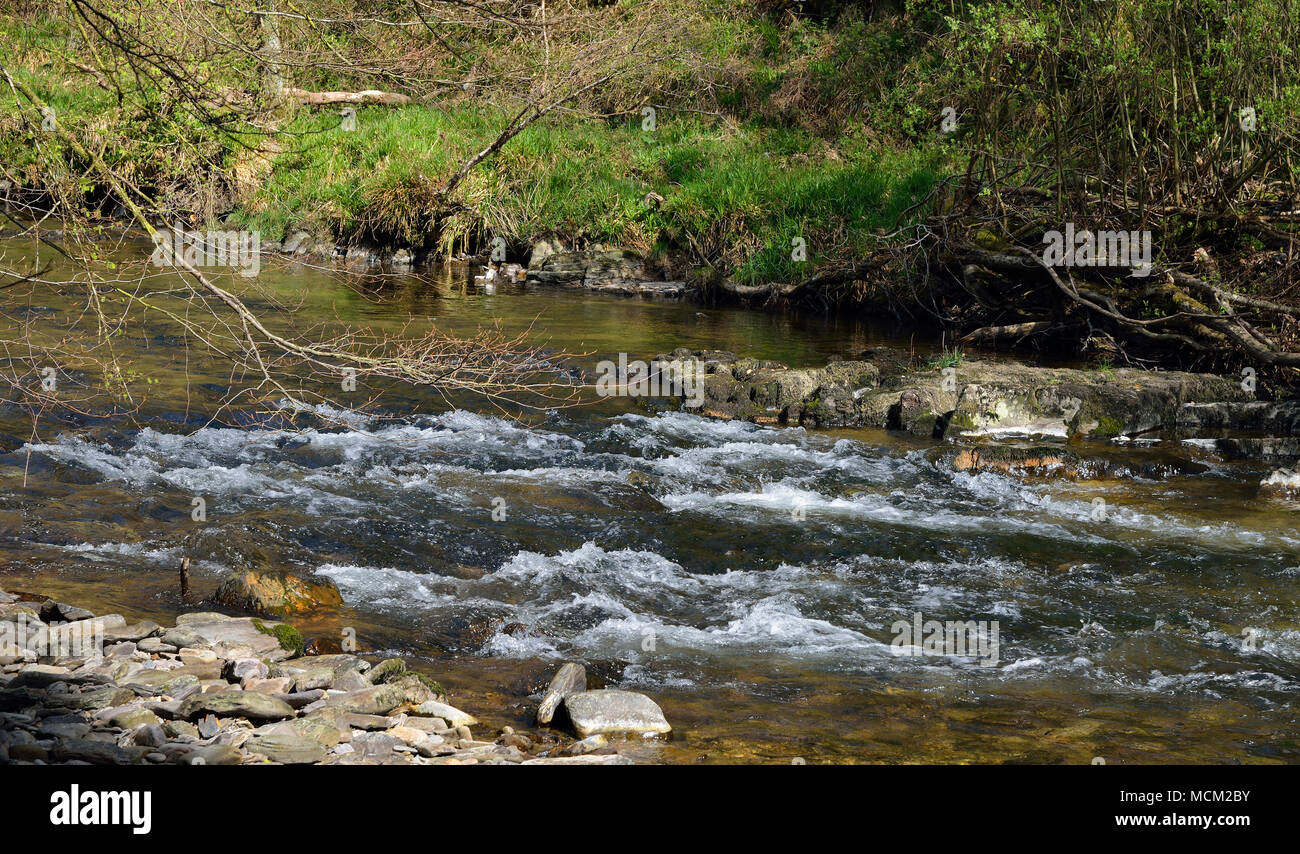 River Barle north of Marsh Bridge, Dulverton, Exmoor, Somerset Stock ...