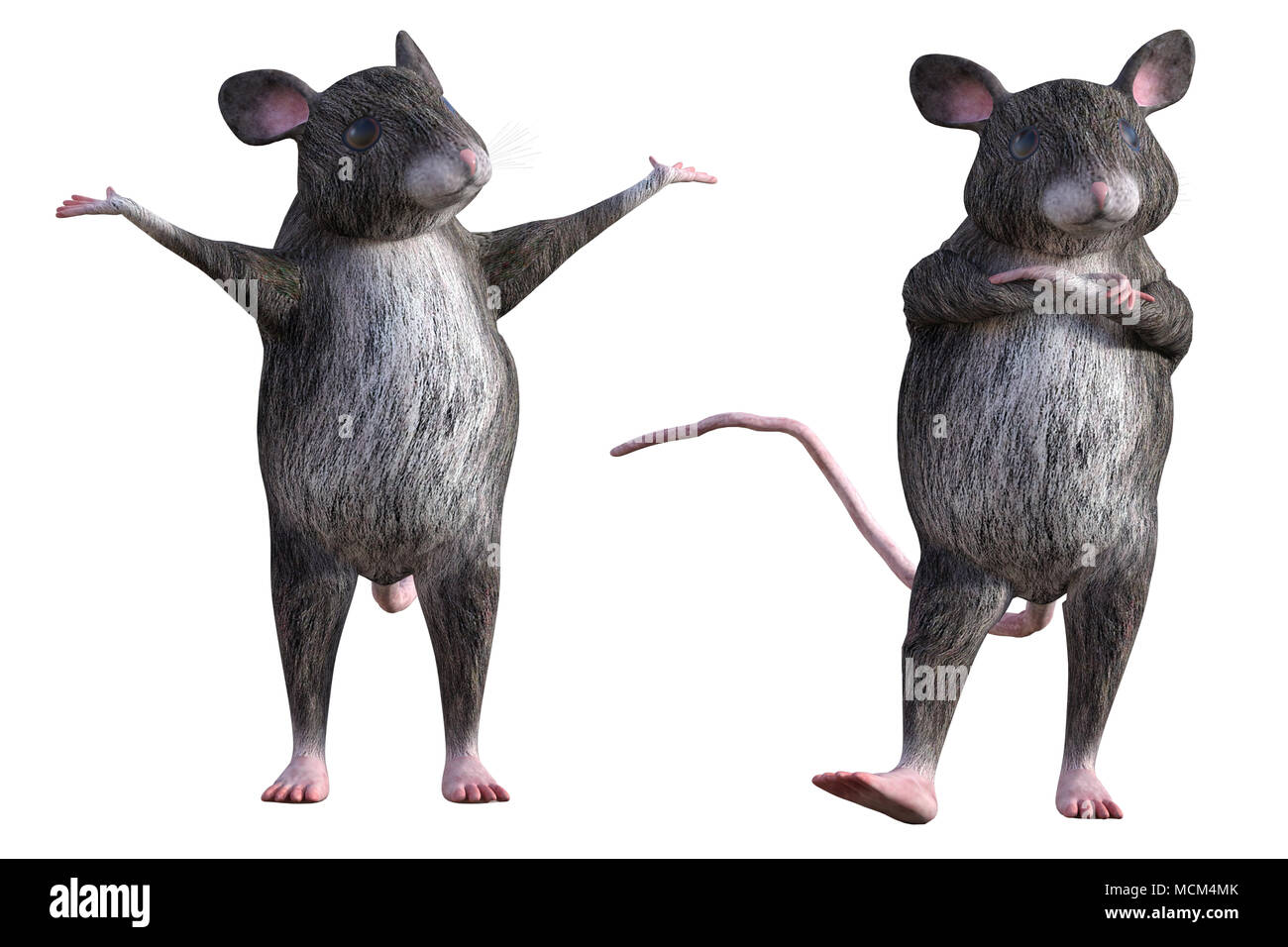 Brown and grey mice isolated on white, 3d render Stock Photo - Alamy