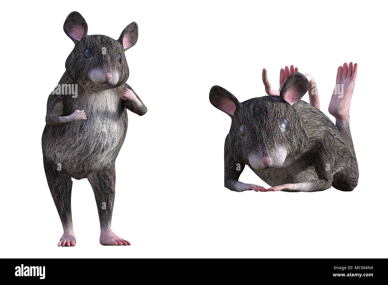 Brown and grey mice isolated on white, 3d render Stock Photo - Alamy