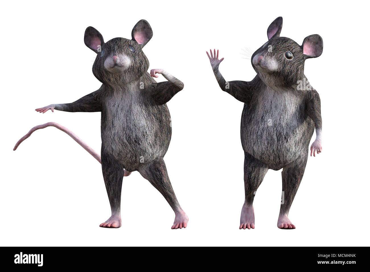 Brown and grey mice isolated on white, 3d render Stock Photo - Alamy