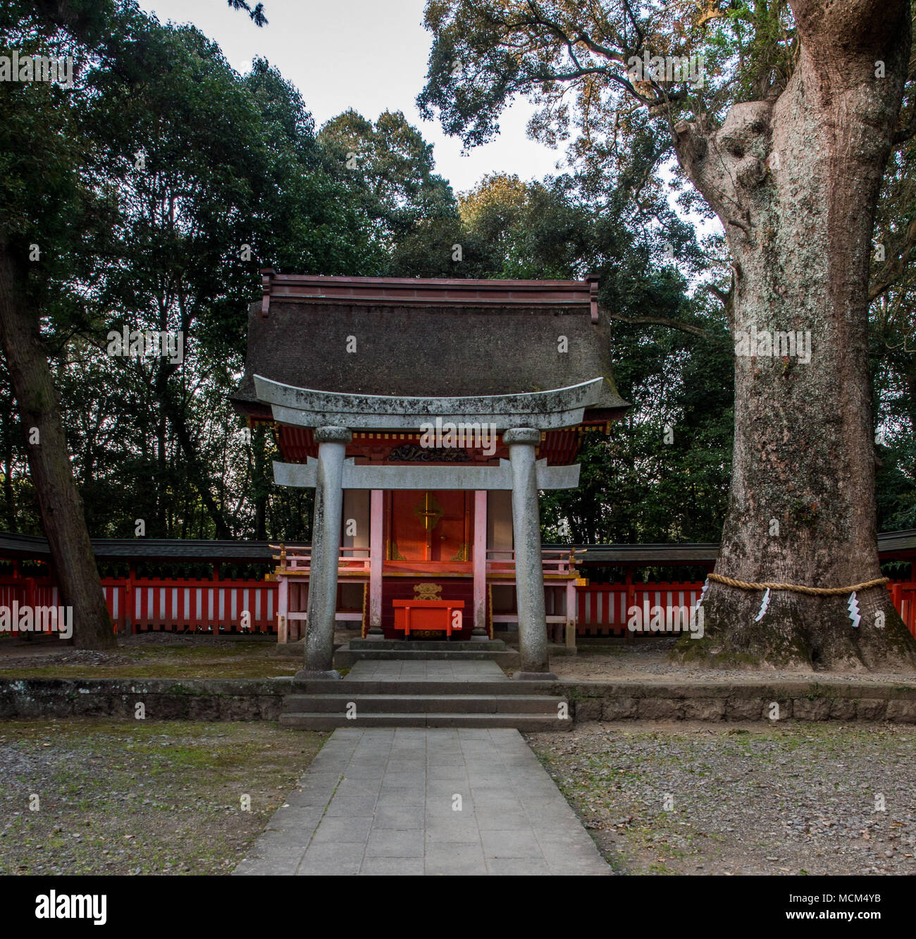 Yasaka Shrine, Usa Jingu, Oita, Kyushu, Japan Stock Photo - Alamy