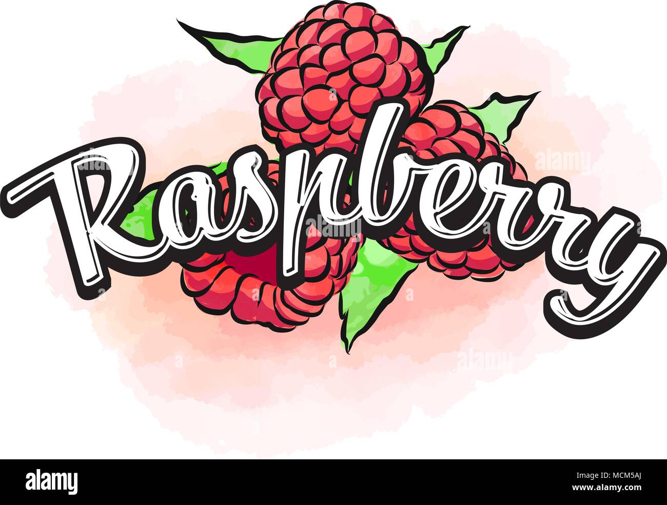 Raspberry colorful label sign. Vector drawing for advertising. Fresh ...