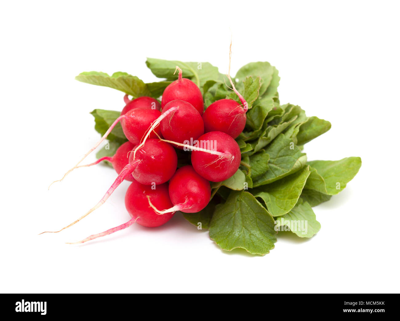 bunch of red radish isolated on white background Stock Photo - Alamy