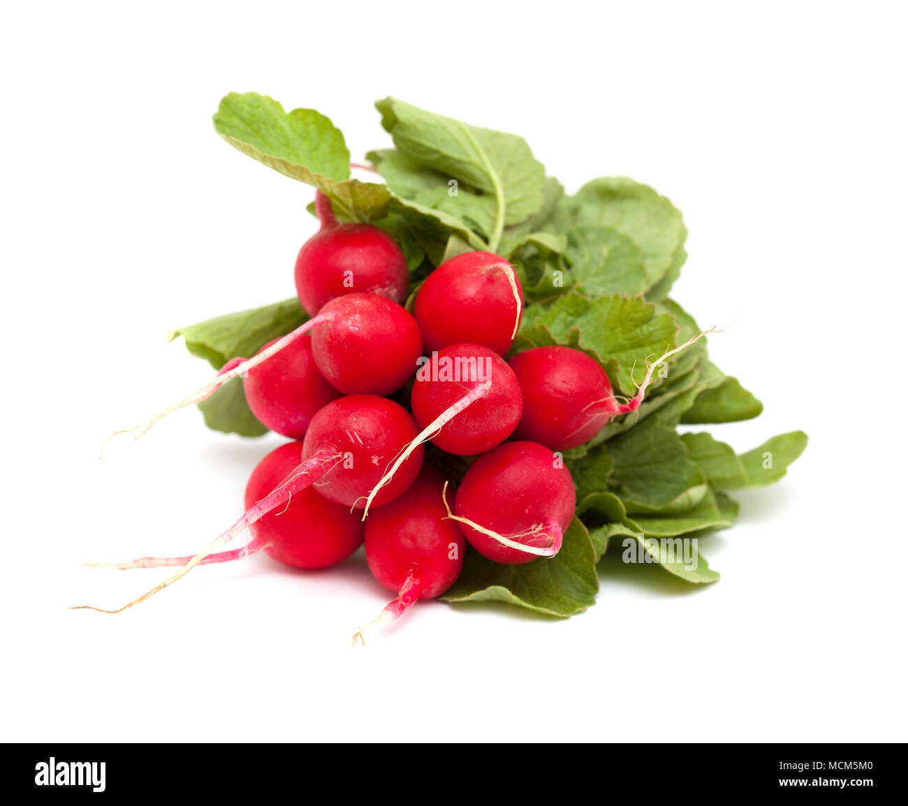 bunch of red radish isolated on white background Stock Photo - Alamy