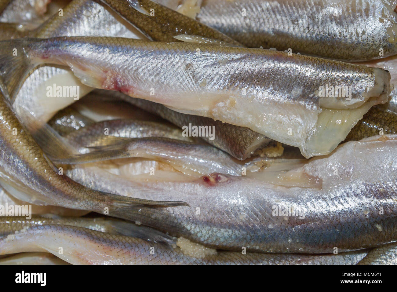 Raw brushed smelt fish lies on the plate Stock Photo - Alamy