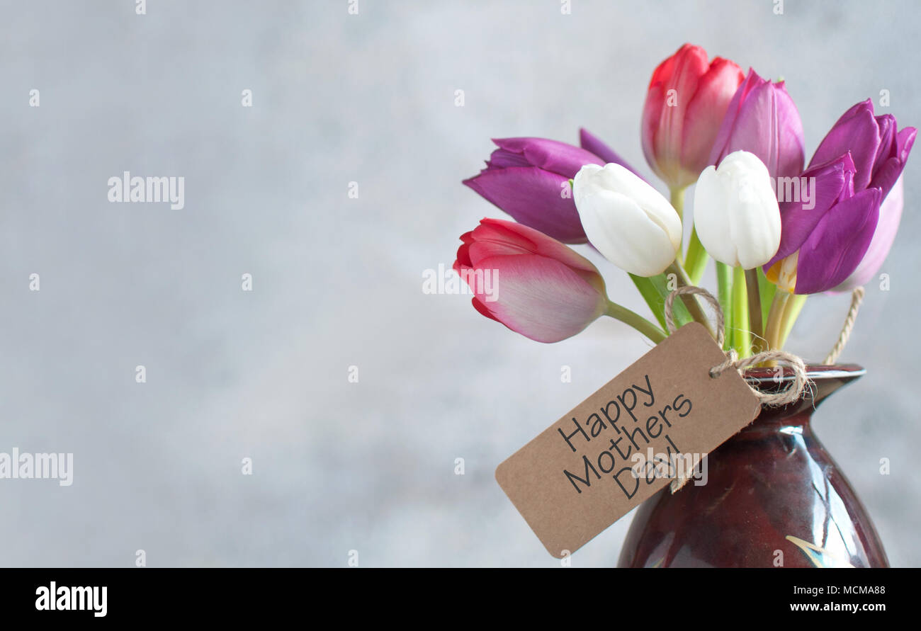 Mothers day gift label attached to selection of tulip flowers in a pot ...